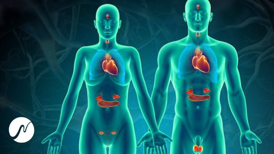 The Fascinating World of Biophysics Unveiled