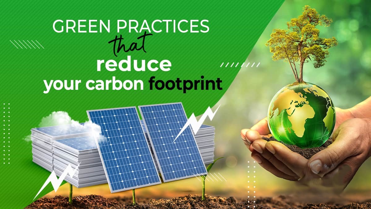 10 Simple Ways to Reduce Your Carbon Footprint