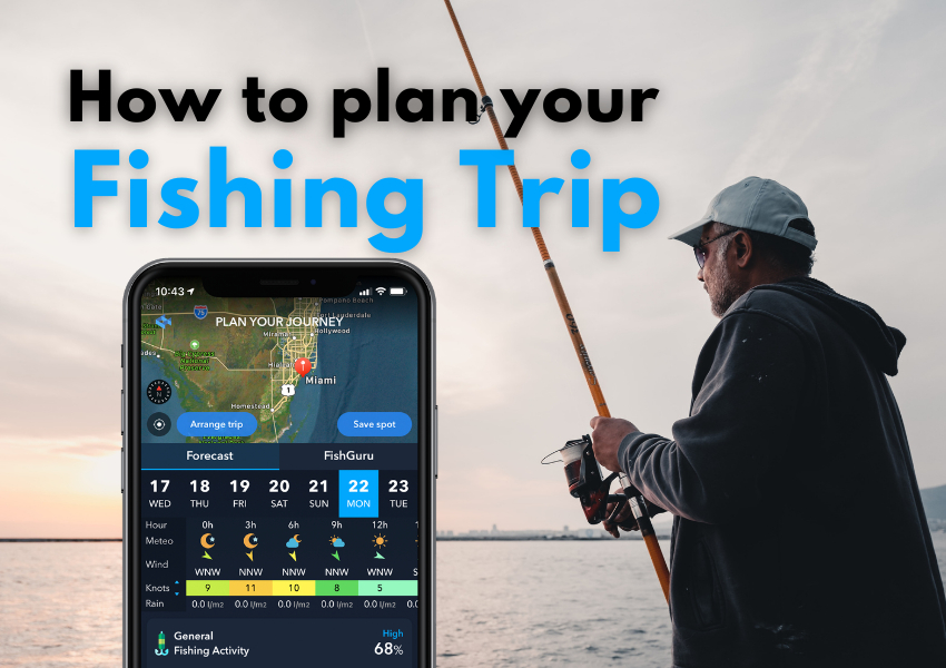 How to Plan a Group Fishing Trip: Essential Tips and Steps