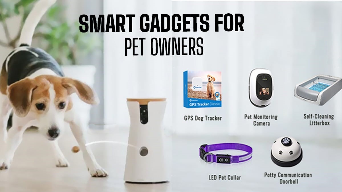 Must-Have Gadgets for Pet Owners in 2025 - Pressmaverick